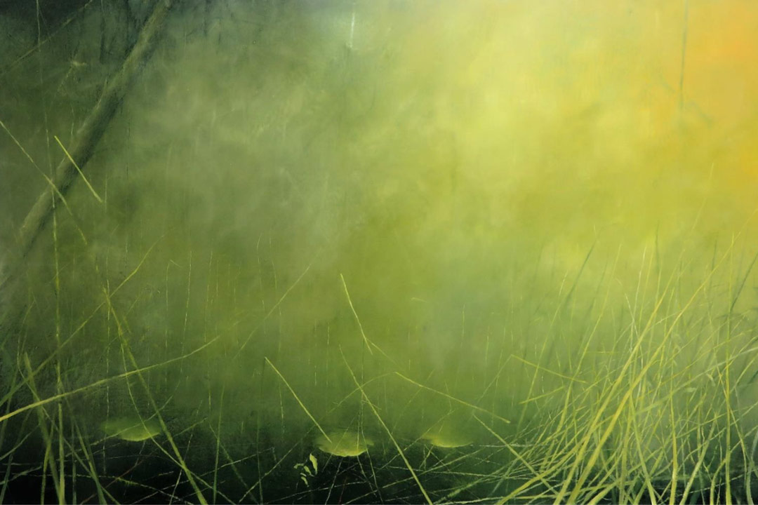 Studio Artists - The Model, Sligo.